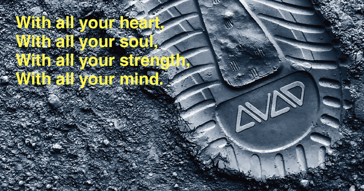 AVAD | SPACEBLOCK®万博セット予約受付